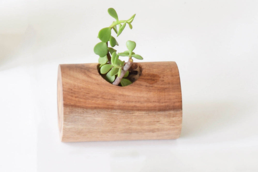 Elements – HALFDOT